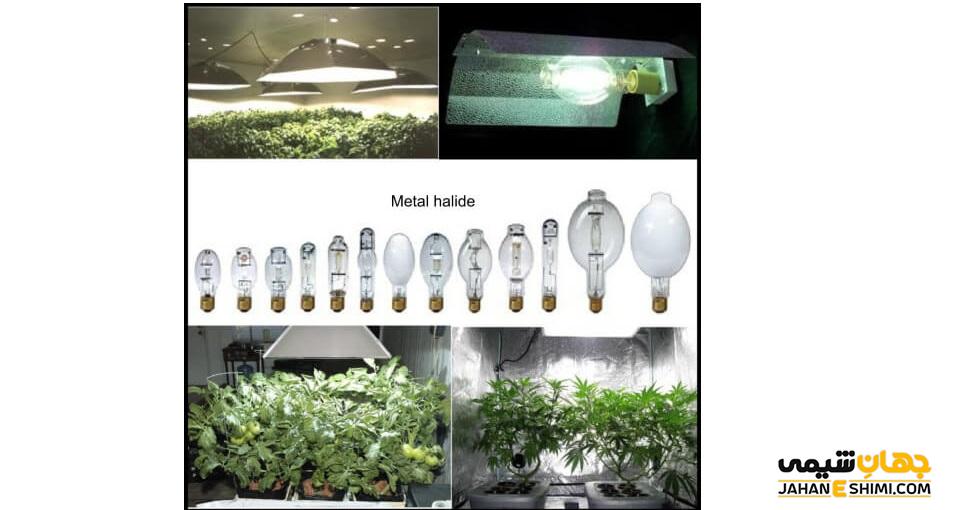یون هالید چیست؟ - ویژگی ها، نحوه تشخیص و کاربرد آن | جهان شیمی فیزیک